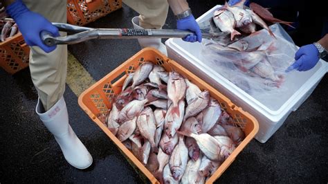 Small Modular Nuclear Reactors How China And The Us Are Poles Apart In