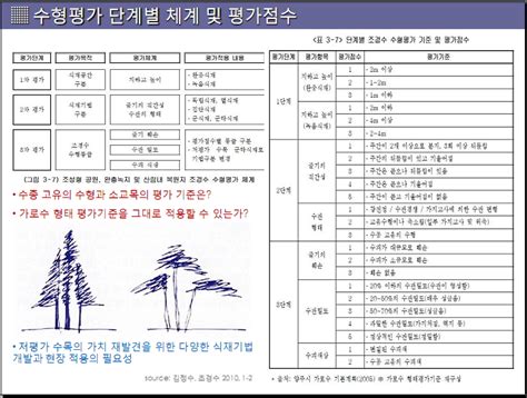 조경수 수형 기준 개발 연구 사례 평가 네이버 블로그