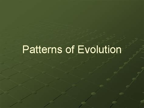 Patterns Of Evolution Macroevolution Evolutionary Patterns And Processes