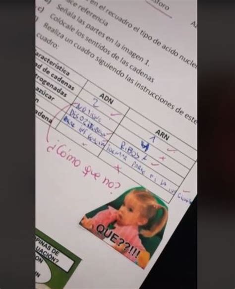 Maestra Califica Exámenes De Sus Alumnos Con Memes