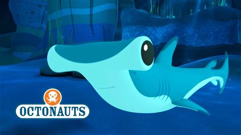 Octonauts Stingray