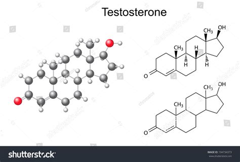 Structural Chemical Formulas Model Testosterone Molecule Stock Vector