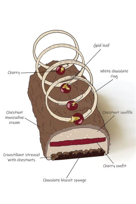 Detailed Schematic Diagram Of Cake Stock Illustration Illustration Of Inside Entremets 157460829