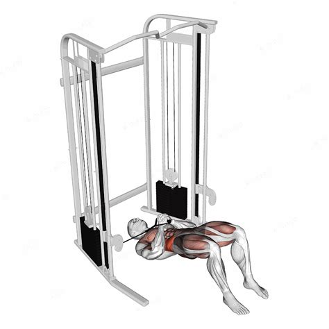 Cable Pallof Press With Glute Bridge — How To Tips And Muscles Worked