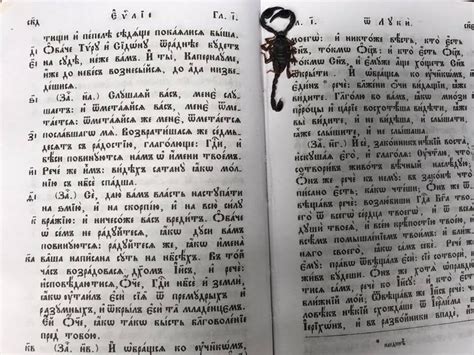 Манастир Покрова Пресвете Богородице Ђунис Ко вас слуша Мене слуша и ко се вас одриче