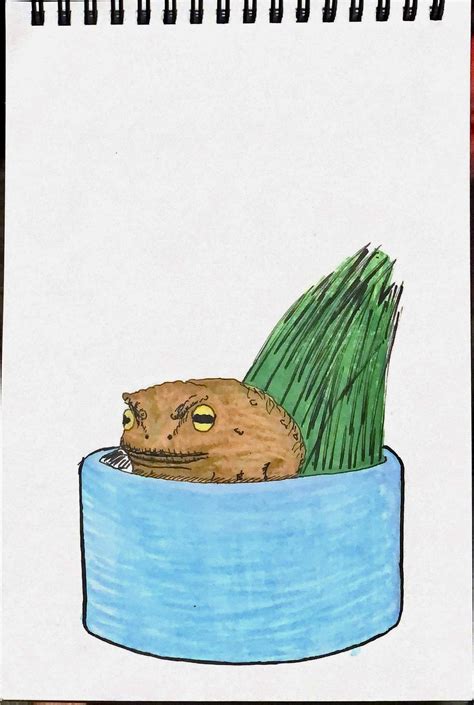 Grumpy Toad R Beginnerartists