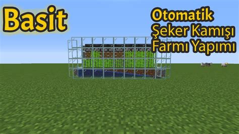 Basit Şeker Kamış Farmı Yapımı Minecraft 117 Youtube