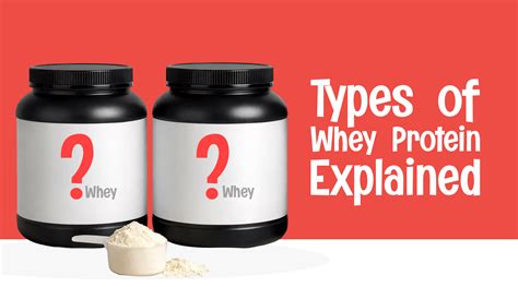Best Whey Protein In India 2026 What Really Makes A Whey Protein Gr