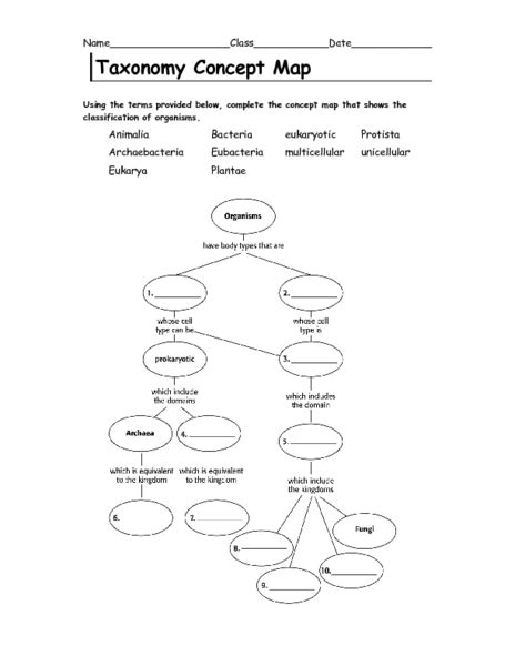 Taxonomy Concept Map Organizer For 6th 9th Grade Lesson Planet