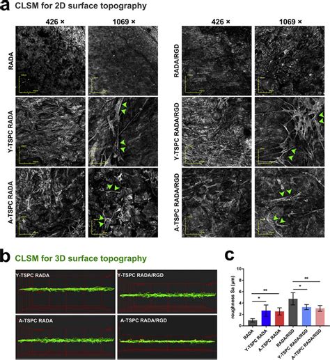 Confocal Laser Scanning Microscopy Clsm And Surface Topography