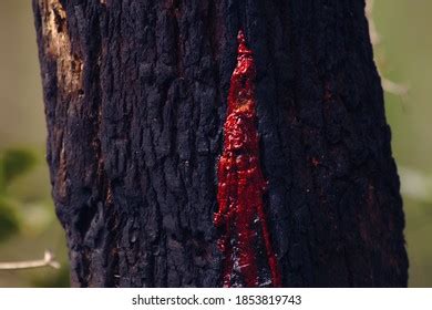 319 Sustainability Sap Images Stock Photos Vectors Shutterstock