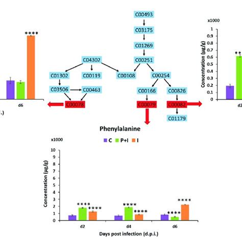 Illustration Of The Phe Tyr And Trp Biosynthesis Pathways And Mrm