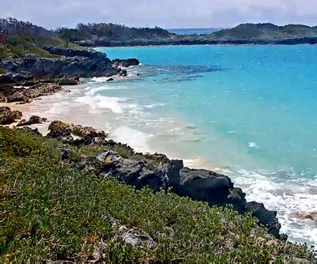 Nonsuch Island Bermuda Live Cam Live Beaches
