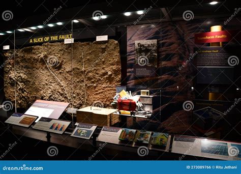 Smithsonian National Museum Of Natural History In Washington Dc