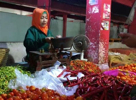 Harga Cabai Rawit Di Probolinggo Tembus Rp100 000 Per Kilogram