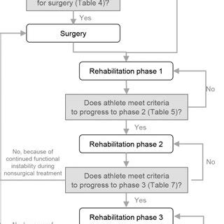 Treatment Algorithm For To Year Old Adolescent Athletes With ACL Download Scientific