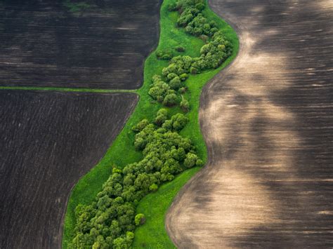 Nature Landscape Grass Field Drone Photo Aerial View Black Sand