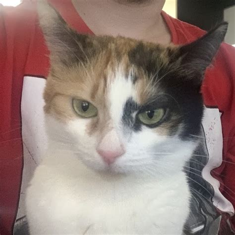 Andrei Stefan Youtube