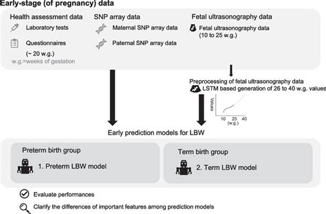 Scheme Of Our Study Health Assessment Data SNP Array Data And Fetal Download Scientific