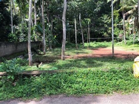 Residential Land Plot For Sale In Pothencode Trivandrum 484 Sq Yard