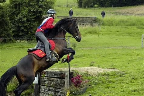 Cohésion And équilibre Patrick Van Aken