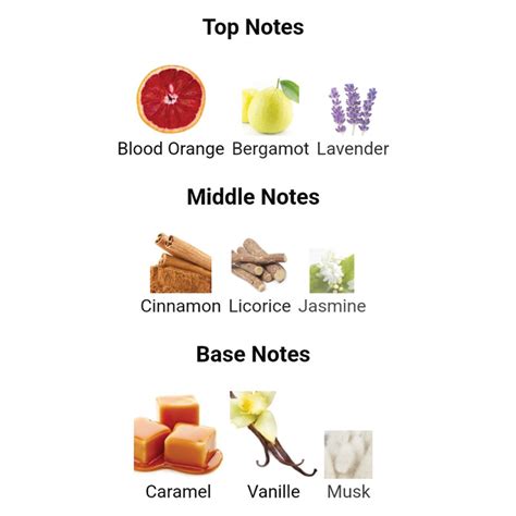 قیمت و خرید اکستریت د پارفوم استتی سیزمو مدل کازاموراتی لیرا حجم 100 میلی لیتر