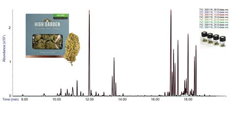 Flash Vase Vacuum Enhanced Thermal Extraction Entech Instruments