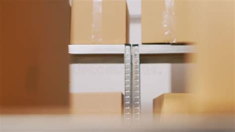 Male Employee Counting Boxes Of Products Stock Footage Video Of