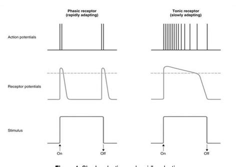Figure 1 From The Phenomenology Of Tactile Perception For Design