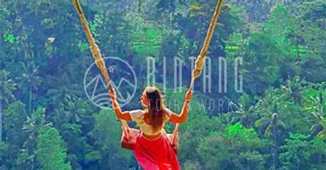 발리 All New 인스타그래머블 단독 투어 투어비스 투어and티켓