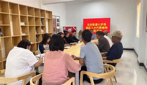 人大乌龙街道七步场选区开展代表接待选民活动问题陈晋元社区
