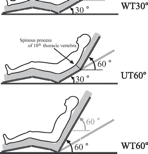 Table 1 From Effects Of Trunk Posture In Fowlers Position On