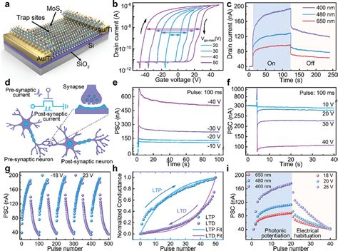 Two‐dimensional Mos2‐based Anisotropic Synaptic Transistor For