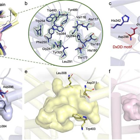 Structure Of Tpn2 A Overall βγ Didomain Structure Of Tpn2 Pdb Id 7xkx