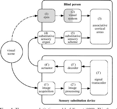 Figure 1 From Auditory Coding Of Visual Patterns For The Blind