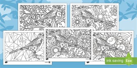 Magpie Mindfulness Colouring Activity
