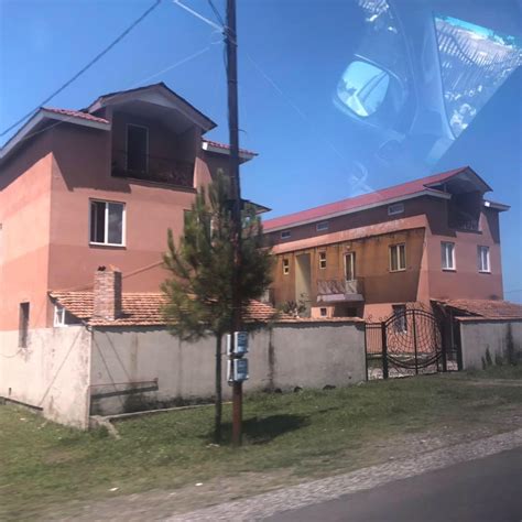 სასტუმრო ტყუპები გრიგოლეთში