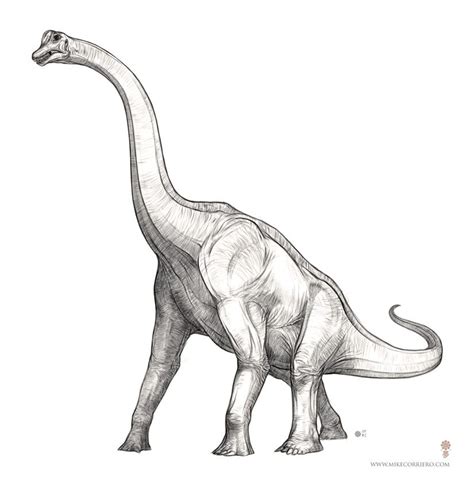 Brachiosaurus Drawing At Explore Collection Of