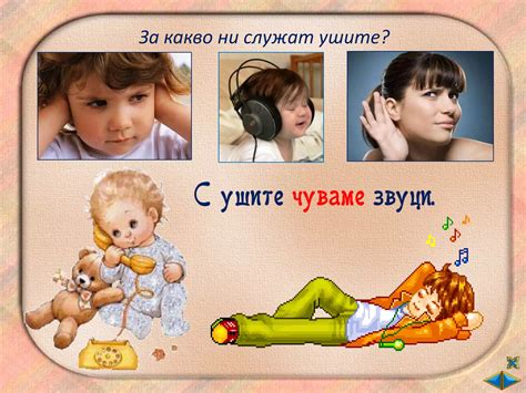 Човешкото тяло ОС 2 клас ВП Pptx