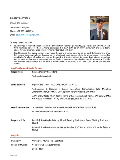 Cv Sap Abap David Domarco Pdf
