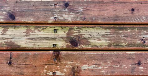 How To Get Black Mold Off Wood Deck At Paige Odriscoll Blog