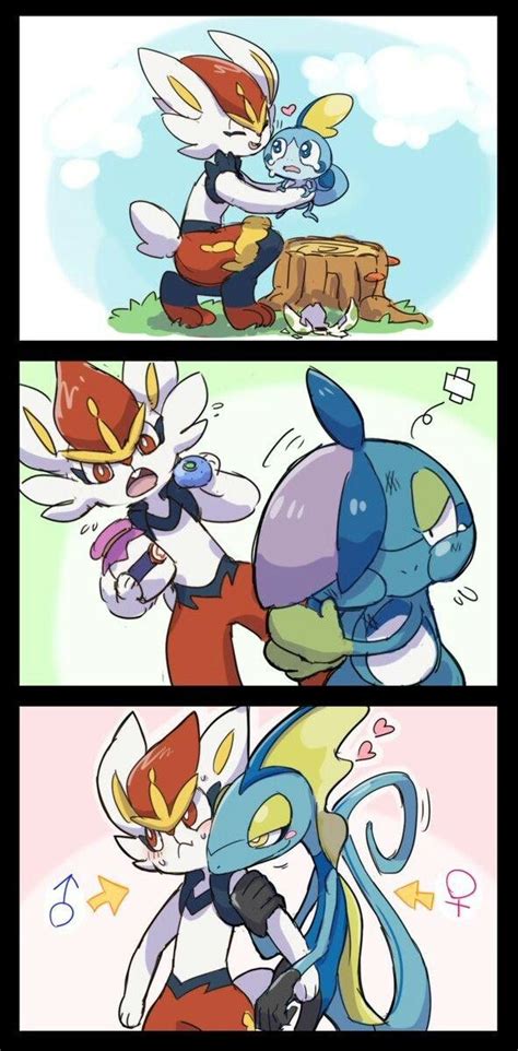 Pin By Hernan Tobar On Cinderace Pokemon Pokemon Pokemon Funny