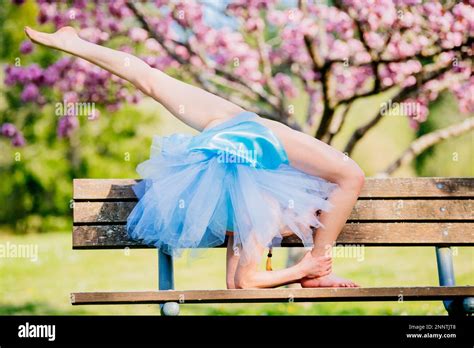 Ballerina In Blue Dress Stretching Under Cherry Blossom Battle Point