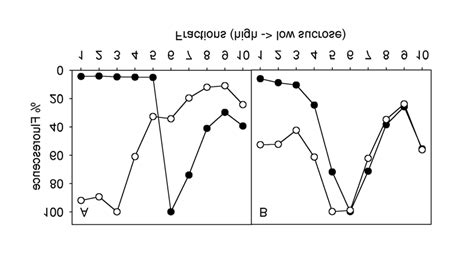 Sucrose Gradient Centrifugation Of N Nbd Pe Containing Tetraether