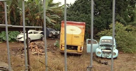 G Carcaças de carros em lote viram criadouros do mosquito da dengue notícias em Goiás