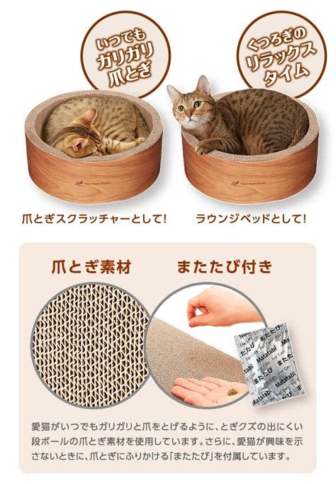 【楽天市場】猫用爪とぎ ガリガリサークル 猫 爪とぎ 爪研ぎ ネコ つめとぎ 段ボール 爪 おしゃれ 猫 段ボール ねこ 爪磨き 猫用品