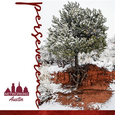 Networking Austin Home Facebook