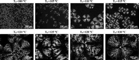 The Spherulitic Morphologies Of Platec23 Blend Crystallized