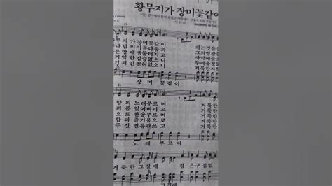 황무지가 장미꽃같이 찬송가 242장 Youtube