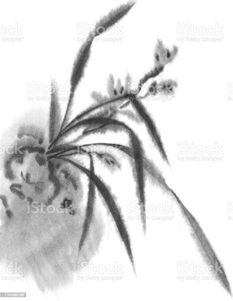 야생 오키드 흑백 잉크 이미지입니다 중국어 일본 식 그래픽 아트 꽃배경 꽃과 나뭇잎 검은색에 대한 스톡 벡터 아트 및 기타 이미지 Istock